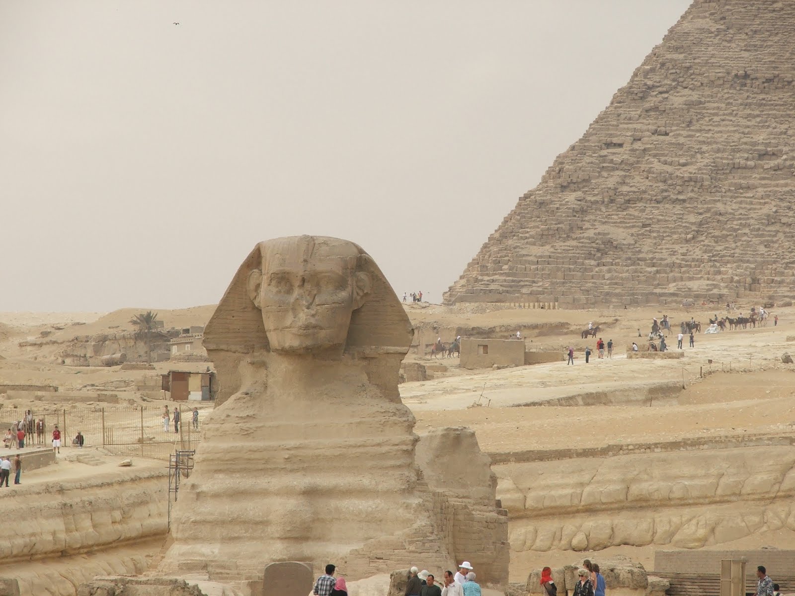 Our Guided Steps: The Sphinx