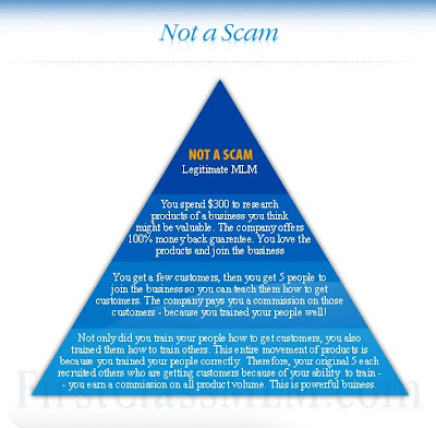 TRUE MIND: MLM SCAM : BEWARE!
