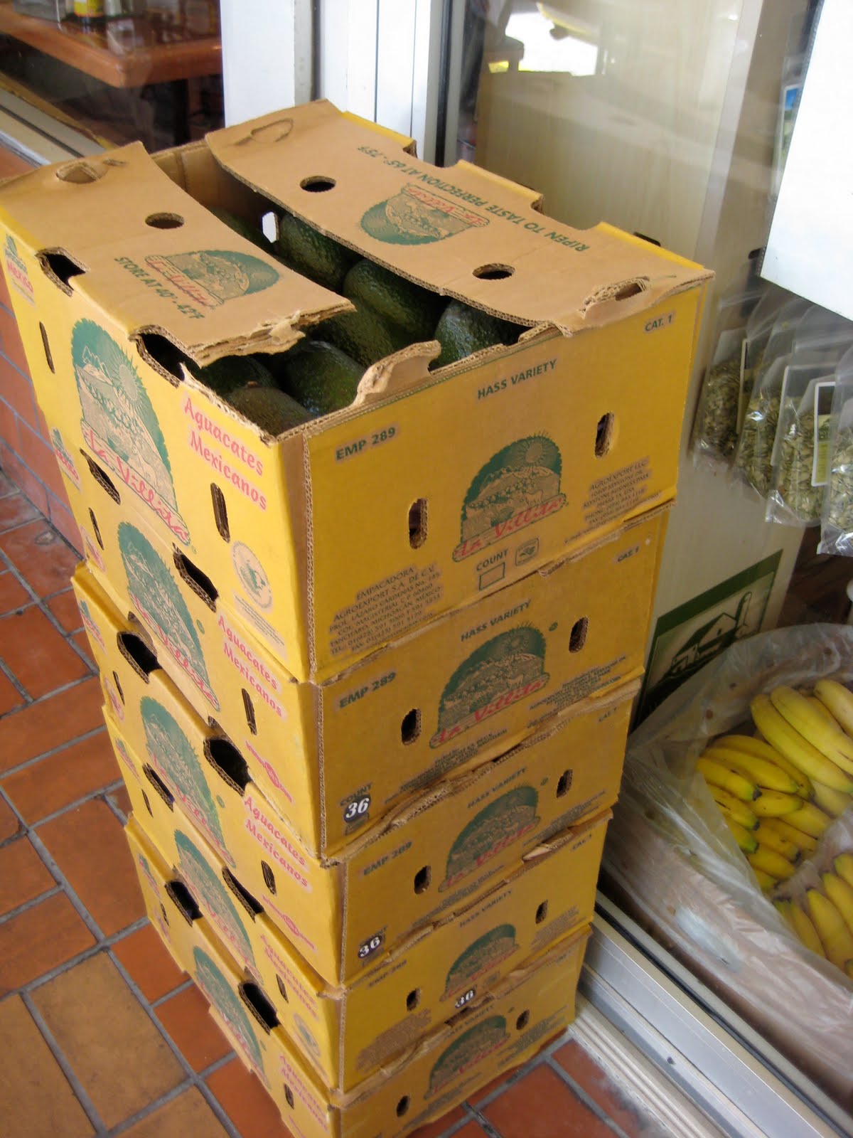 DANIELLE'S FOOD BLOG: A dose of fresh at Miami Juice.