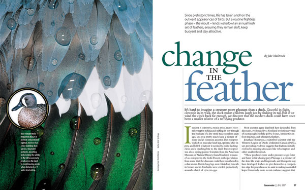 Pat Mills AS Media: Double Page Spread Analysis