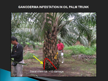 REMOTE SENSING: GANODERMA