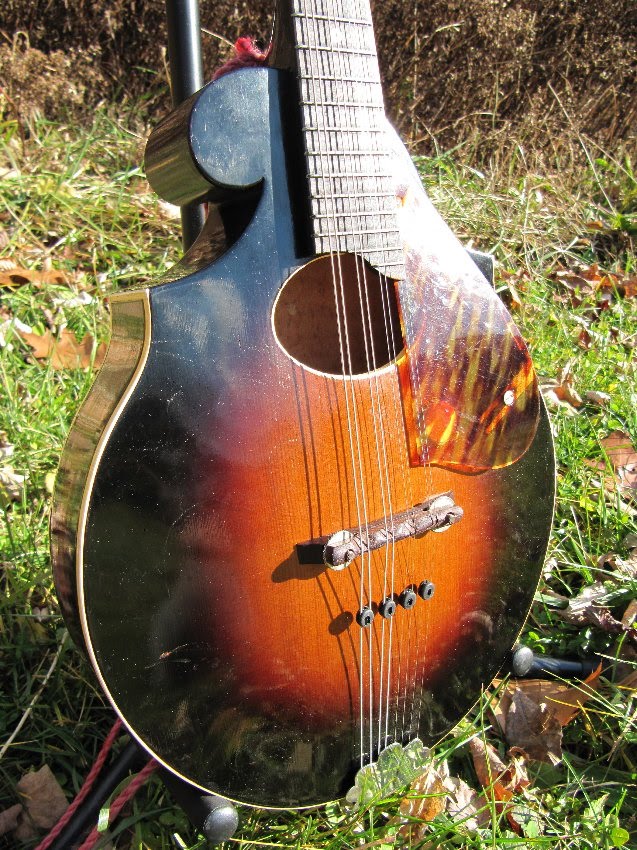 c.1930 Regal Carved-Top Reverse Florentine Mandolin