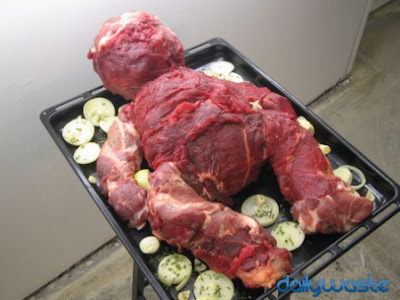 mac rumors and jonas brothers