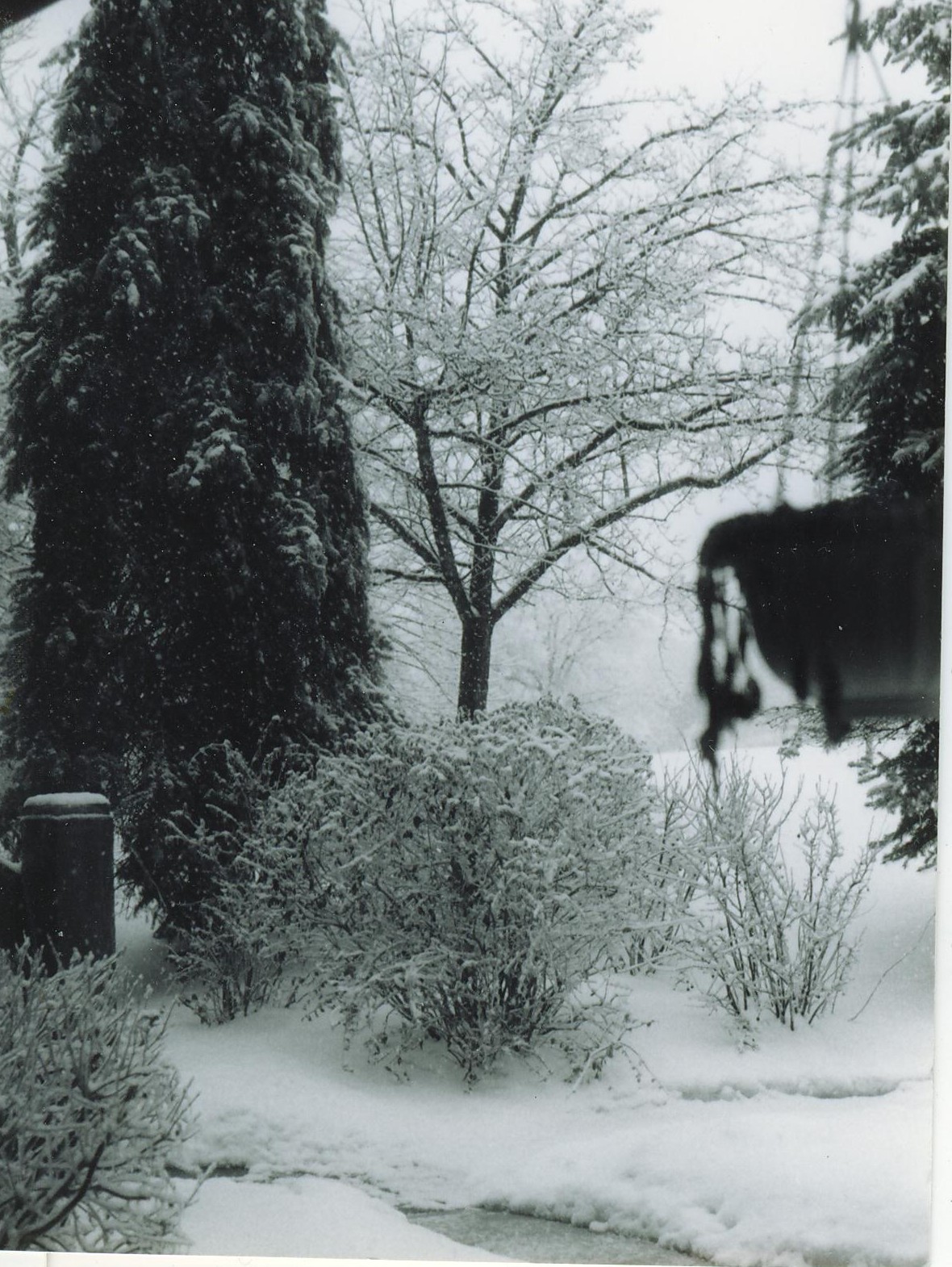 Photography by Tina Marie: Winter Scenes