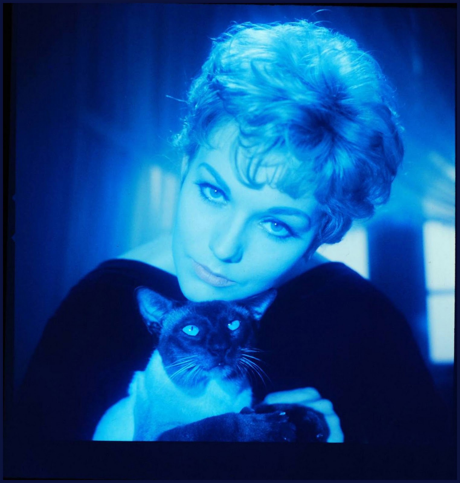 Wallpaper World: Kim Novak Biography | Kim Novak Photos