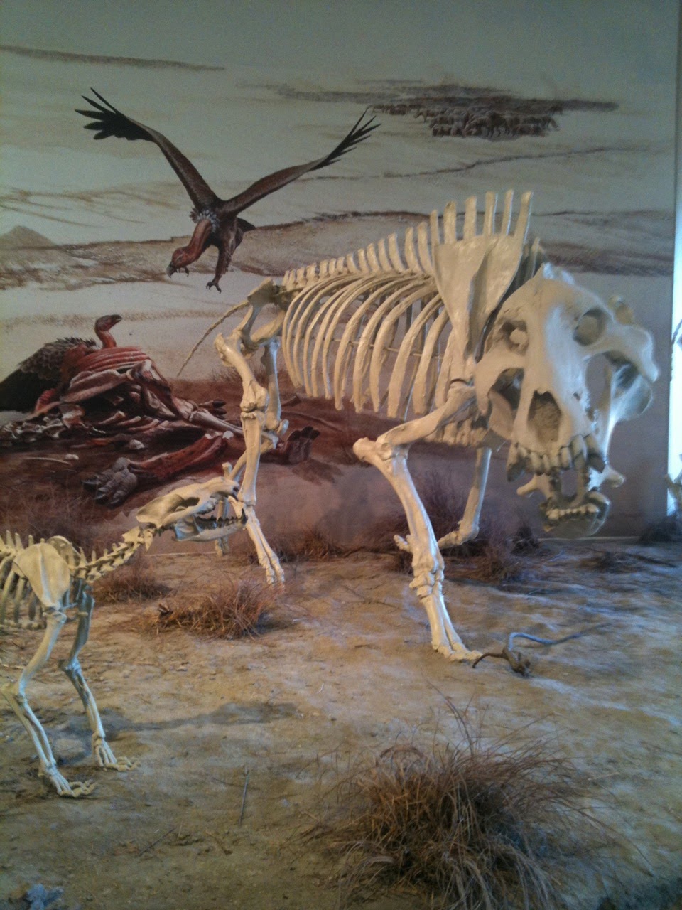 The Cancellation Station Update Agate Fossil Beds National Monument