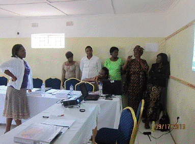 TAAAC ZAMBIA: Training for Chongwe Basic School Mentors