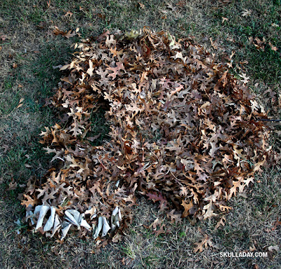 141. Fall(en) Leaves Skull