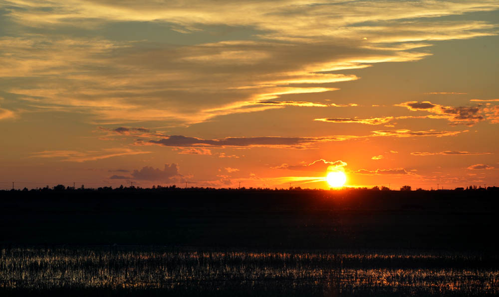 terryography: Prairie Scenes