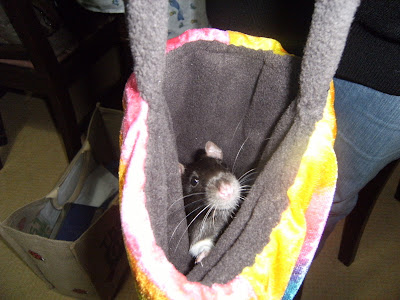 Mortimer and Wheeler: Rat Sack