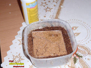 Adoro Formigas: Como construir um formigário de cortiça - How to make a ...