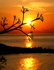 REFLEXIONES: Cayetano Ripoll, maestro, última víctima de la Inquisición