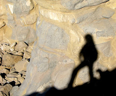 REFLEXIONES: Cayetano Ripoll, maestro, última víctima de la Inquisición