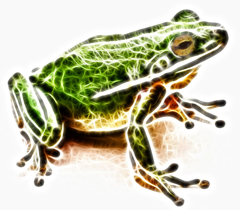Frogtal (as seen on Fractal)