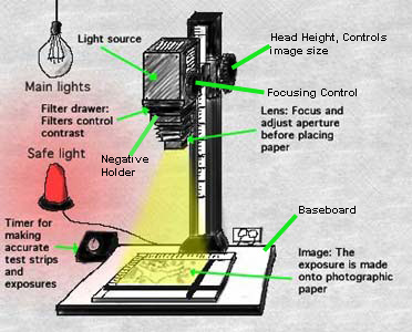Intro to Black and White: Week 2. Notes