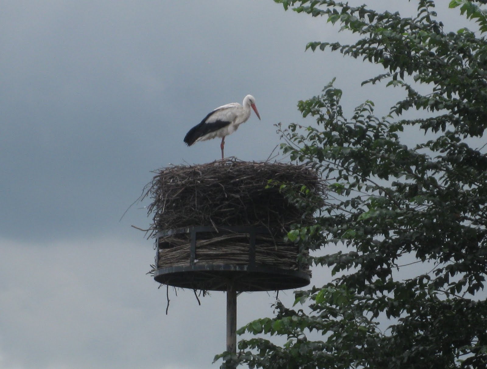 European Adventures: Eindhoven, Holland