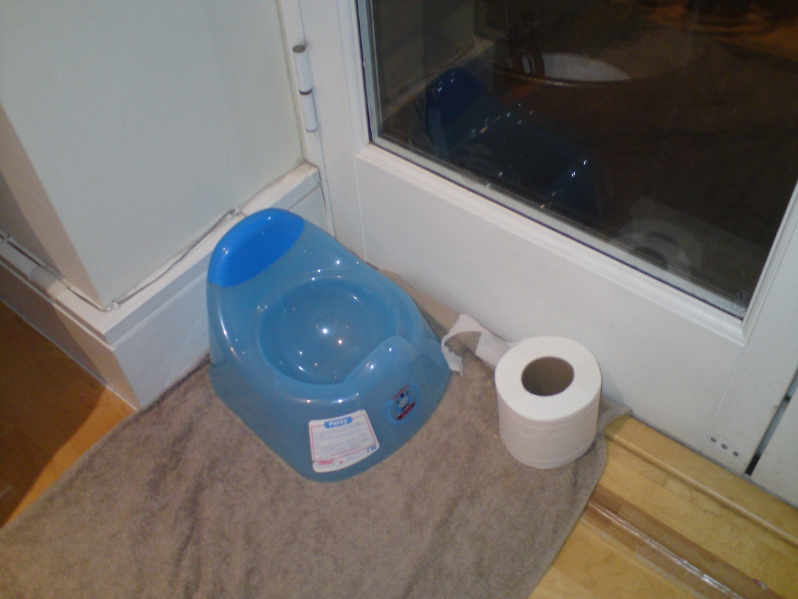 My Babies: Adam's Potty Training , Day 1