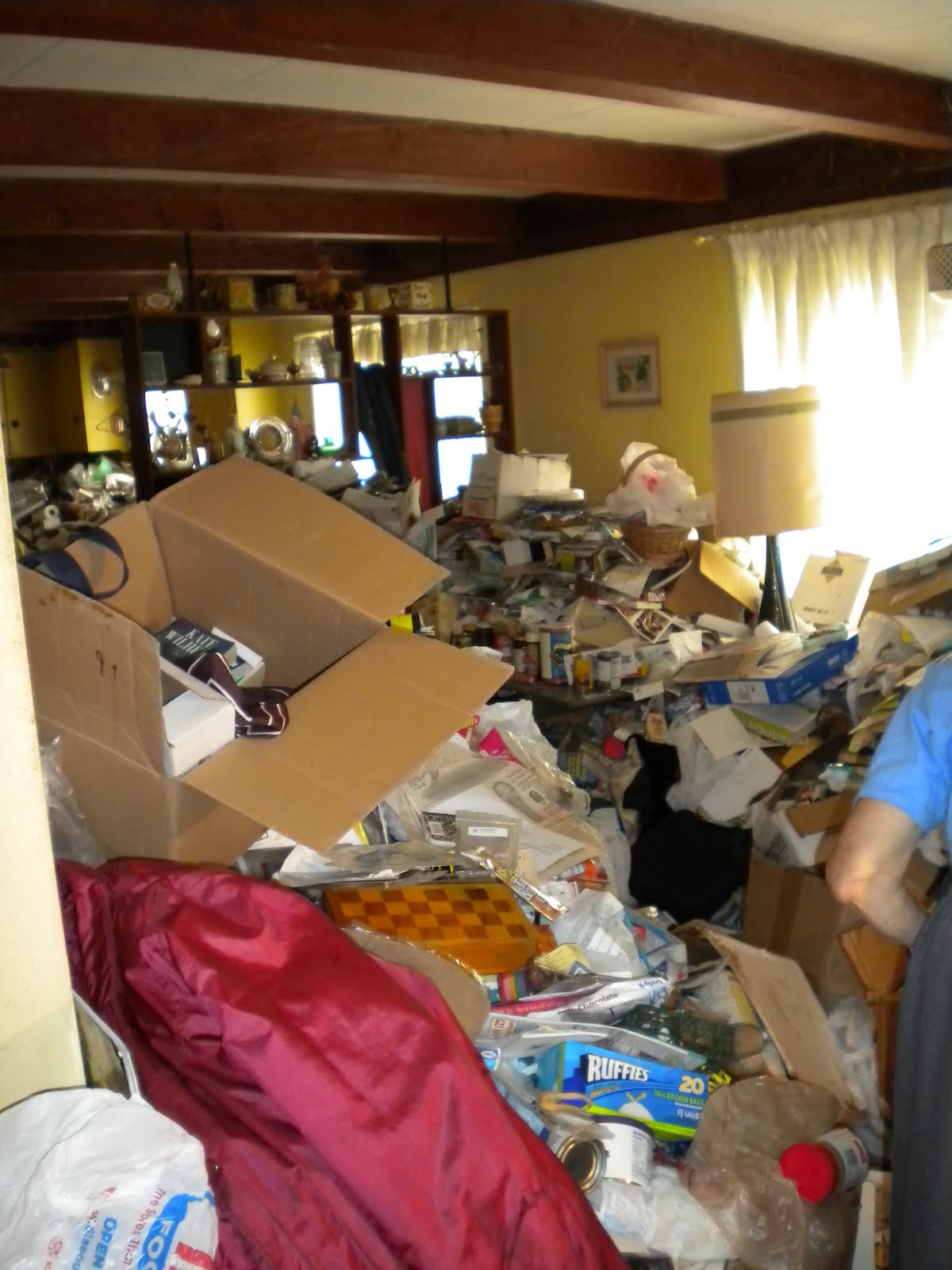 Professional Organizer 4 U: WHAT DOES HOARDING LOOK LIKE