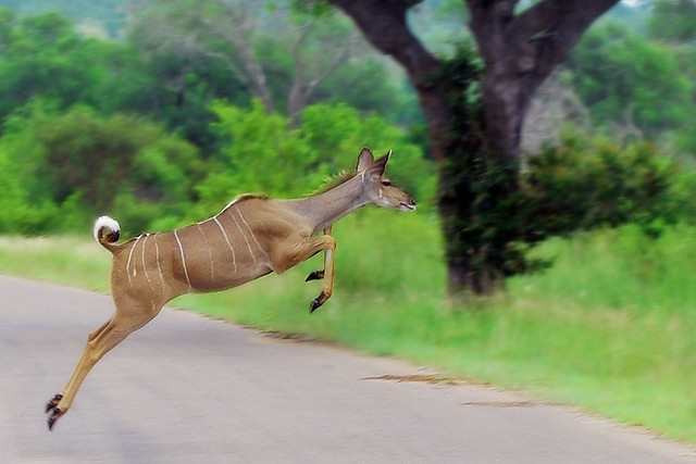 mainly mongoose: Look before you leap