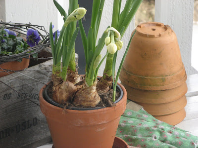 Trines Hus og Hage: Jubileumsinnlegg fra bislag og entrè