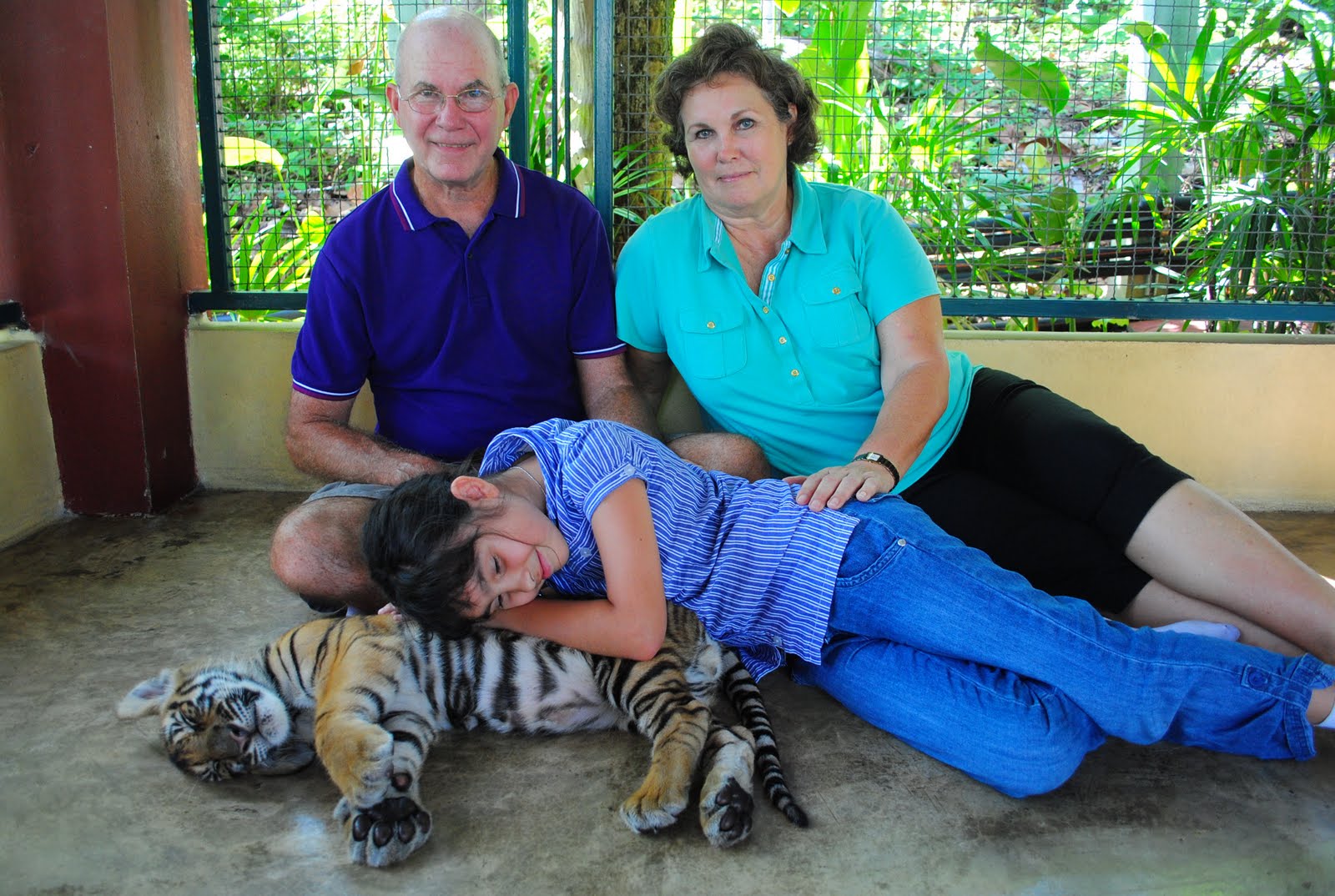 S/V BeBe: Bitten by a tiger near Chiang Mai (not to worry; it was a ...