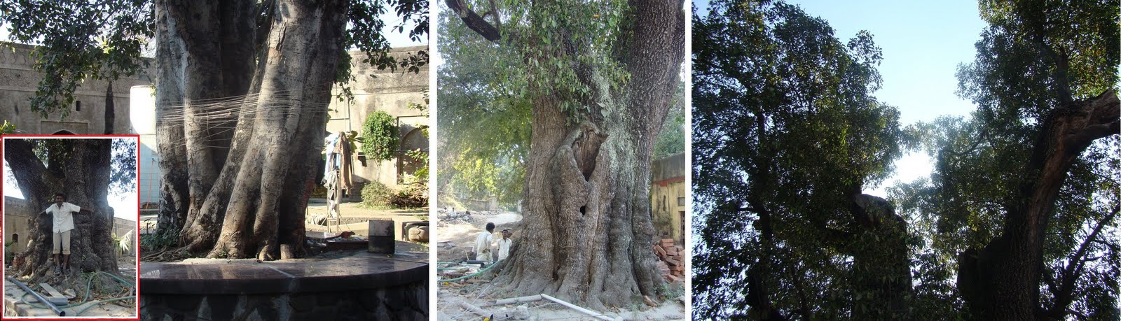 Caprarius Aquacorn: Pune Street Scene VII: Pashan’s (Very) Old Hanuman ...