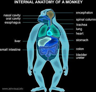 Peter's Brain: July 2007
