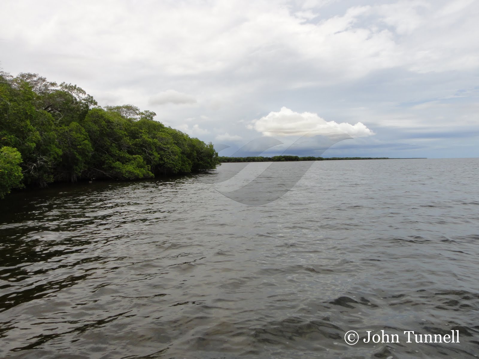 Ixtoc I Expedition: 30 years later: 2010
