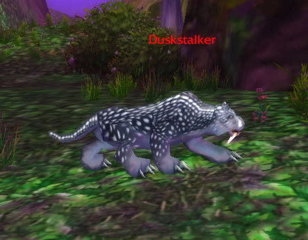 Glimpses of Azeroth: Spotted nightsaber: Duskstalker