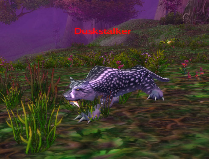 Glimpses of Azeroth: Spotted nightsaber: Duskstalker