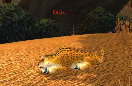 Glimpses of Azeroth: Druid lookalike kitty: Dishu
