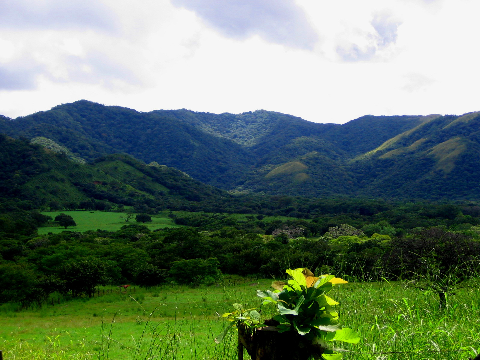 Photographs: Costa Rica: November 2008