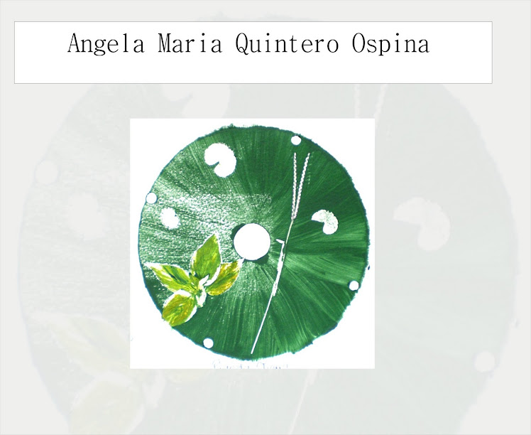 participantespereira2010