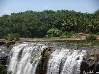 KANYAKUMARI: Thirparappu Falls