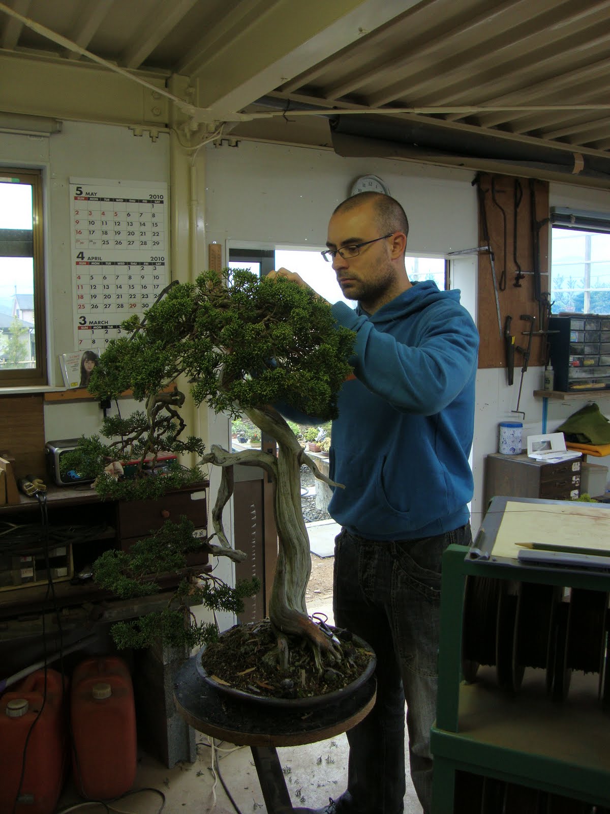 kingii: dia6, choumi se va