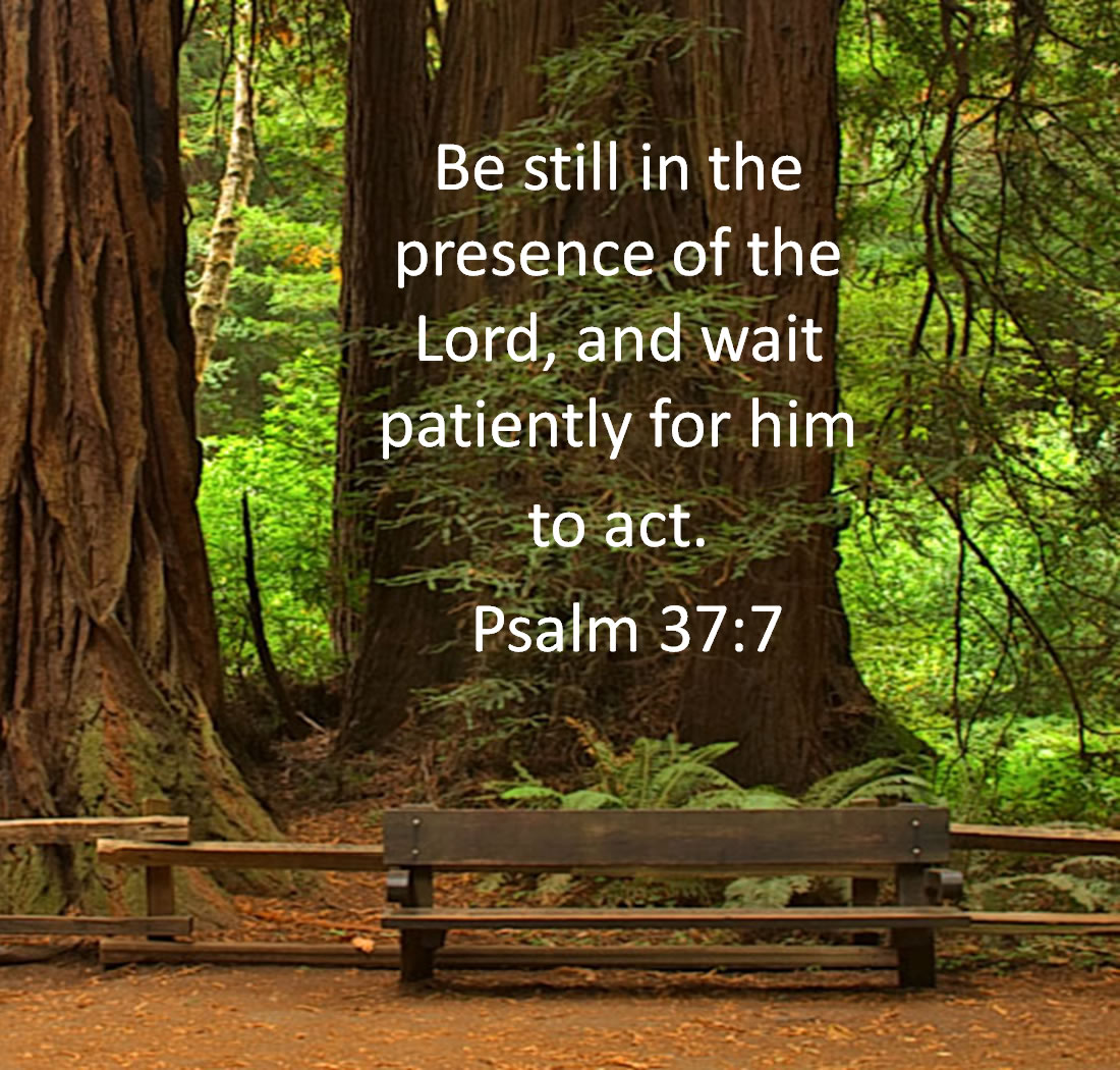 Be still, in the presence of the Lord - PROALC Solutions