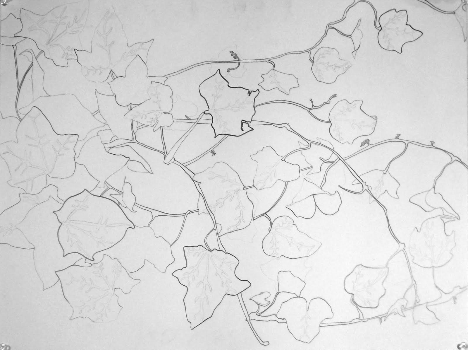 FD 100G: Controlled Contour: Plants