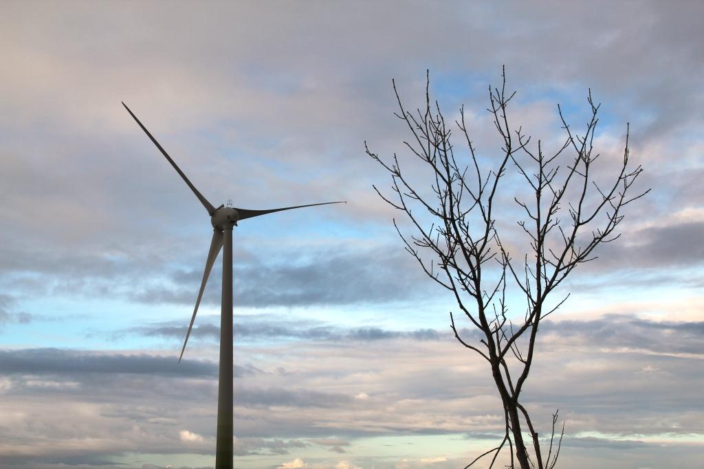 gestreift - berührt - geteilt: Der Wind