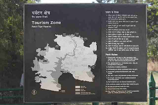 My world as I see it: A trip to Mowgli's Forest - Pench