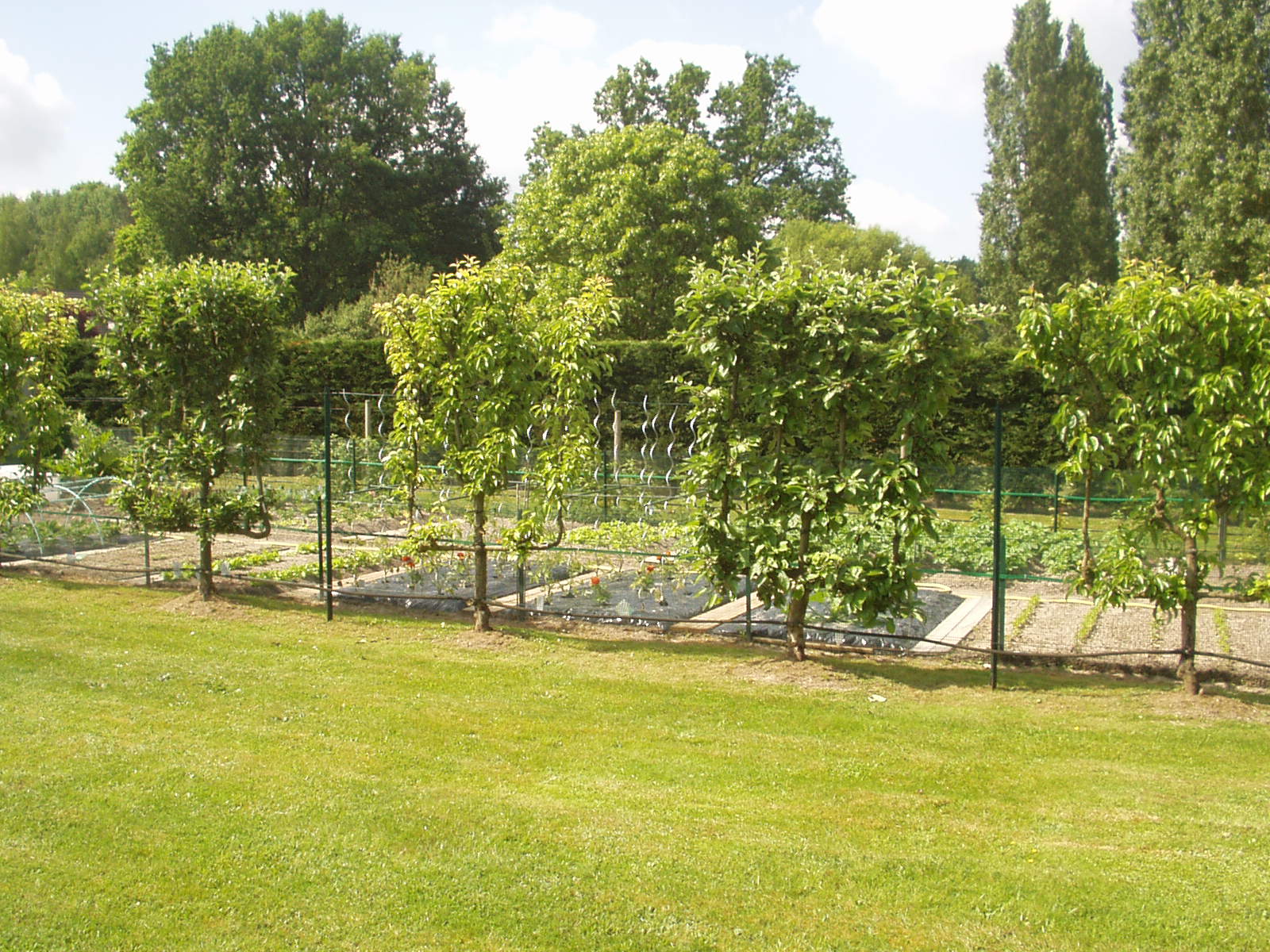 Nibelle et Baudouin: mai 2010