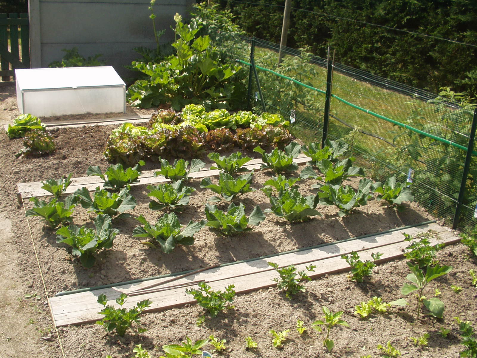 Nibelle et Baudouin: mai 2010