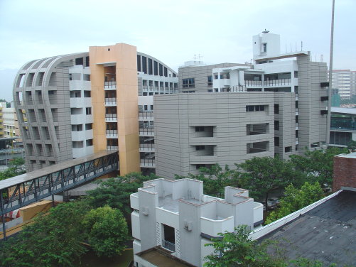 Interesting Green: Polytechnic education increasingly relevant