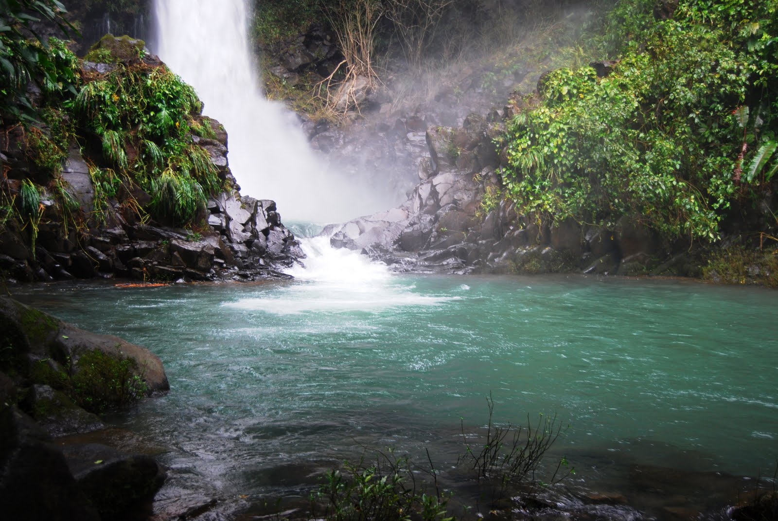 explorando los tuxtlas: CASCADA COLA DE CABALLO