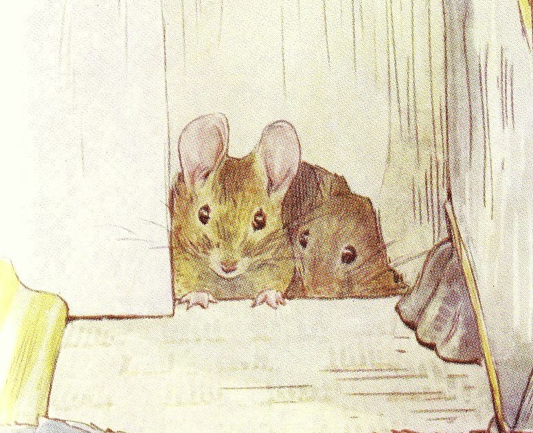Vintage Kids' Books My Kid Loves: The Tale of Two Bad Mice