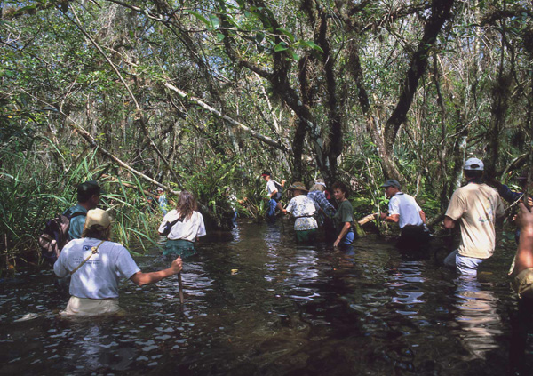 Colloquium: Field Trip- Campus and Trails