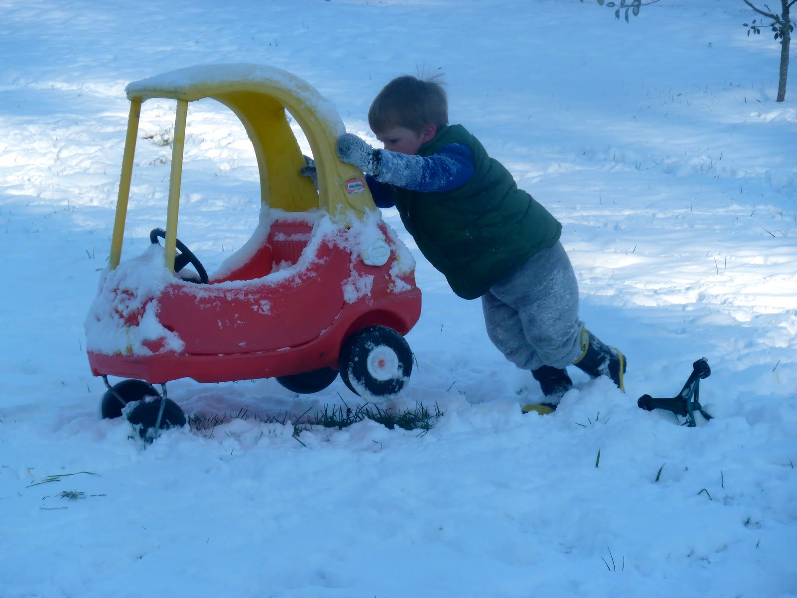 Livin' La Vida Lowmon: The first snow of 2010 and Thanksgiving