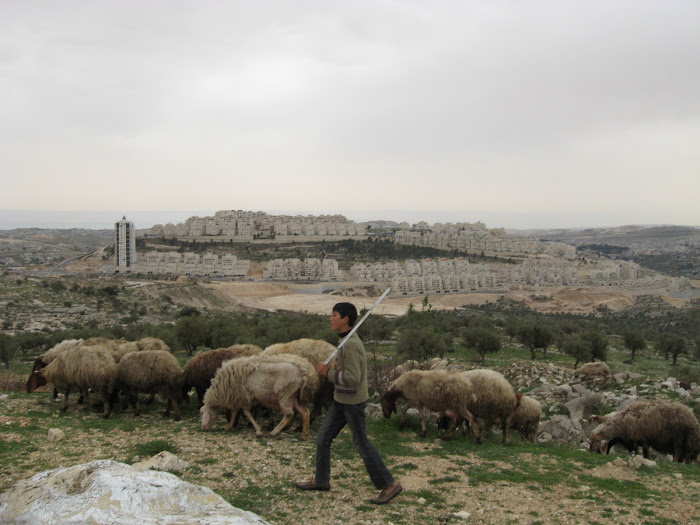 thepape-uwsp: The Law