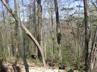 Smoky Mountain National Park Hiking & CC-Skiing: Post 900 Hike #41 ...