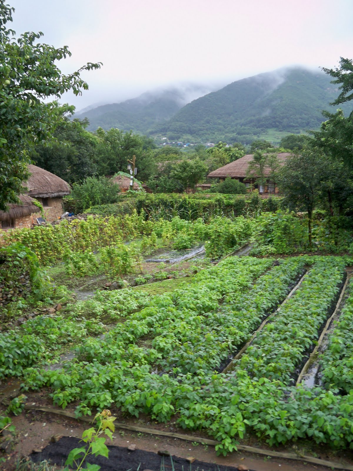 Jacob Zych's Blog: Magnificent Korea