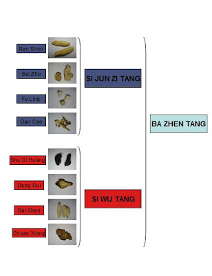MEDICINA TRADICIONAL XINESA: SUPLEMENTACIÓ: COMBINACIONS TONIFICANTS ...
